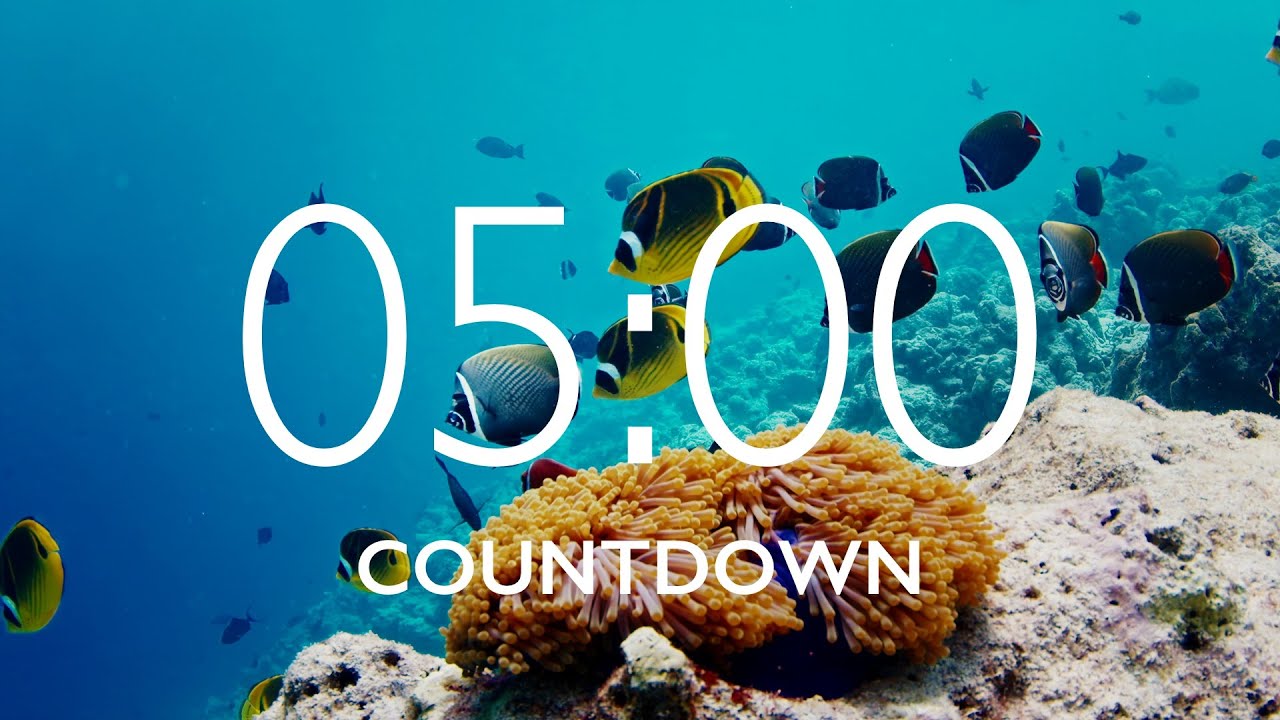 Timer With Calm Music 5 Minutes At Lucinda Mccathie Blog