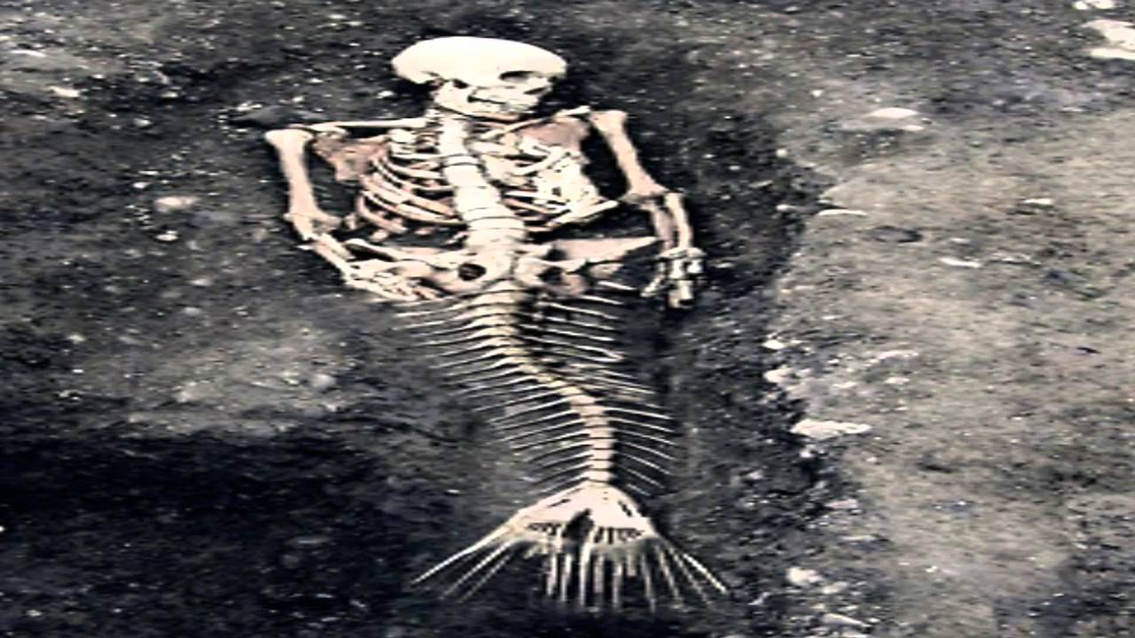Real Mermaids Found Skeleton In Africa Youtube