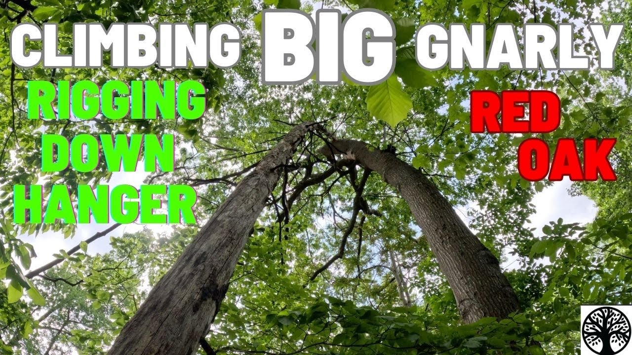 Rigging Down Hanger Tree Youtube