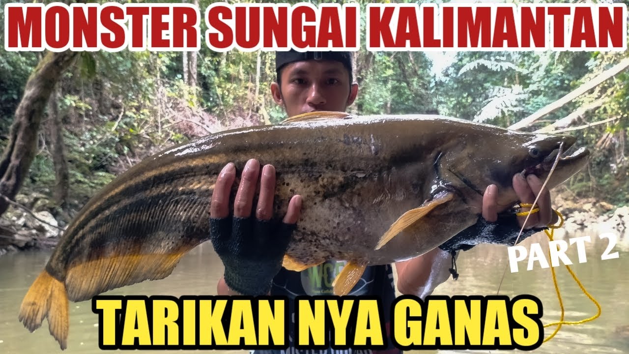 Terciduk Monster Sungai Kalimantan Youtube