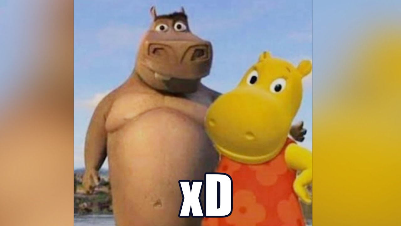Memes Muy Xd 169 Youtube
