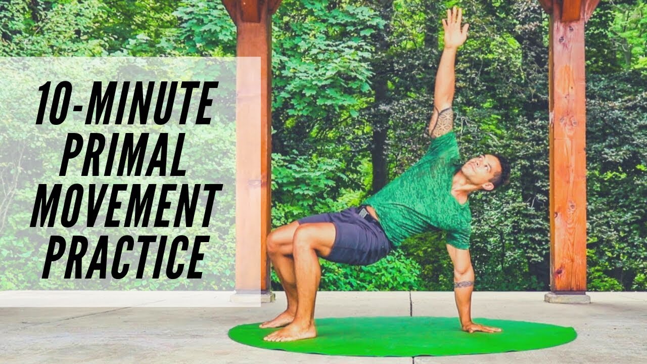 Primal Movement Workout Routine Eoua Blog