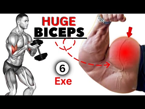 6 Exercises To Get Huge Biceps Fastest Bicep Workout At Gym Youtube