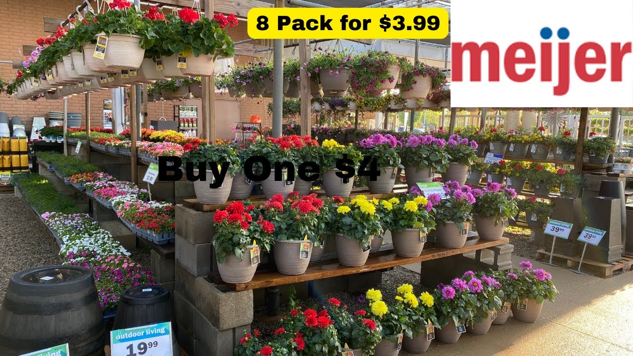 Meijer Garden Center Plants Fasci Garden