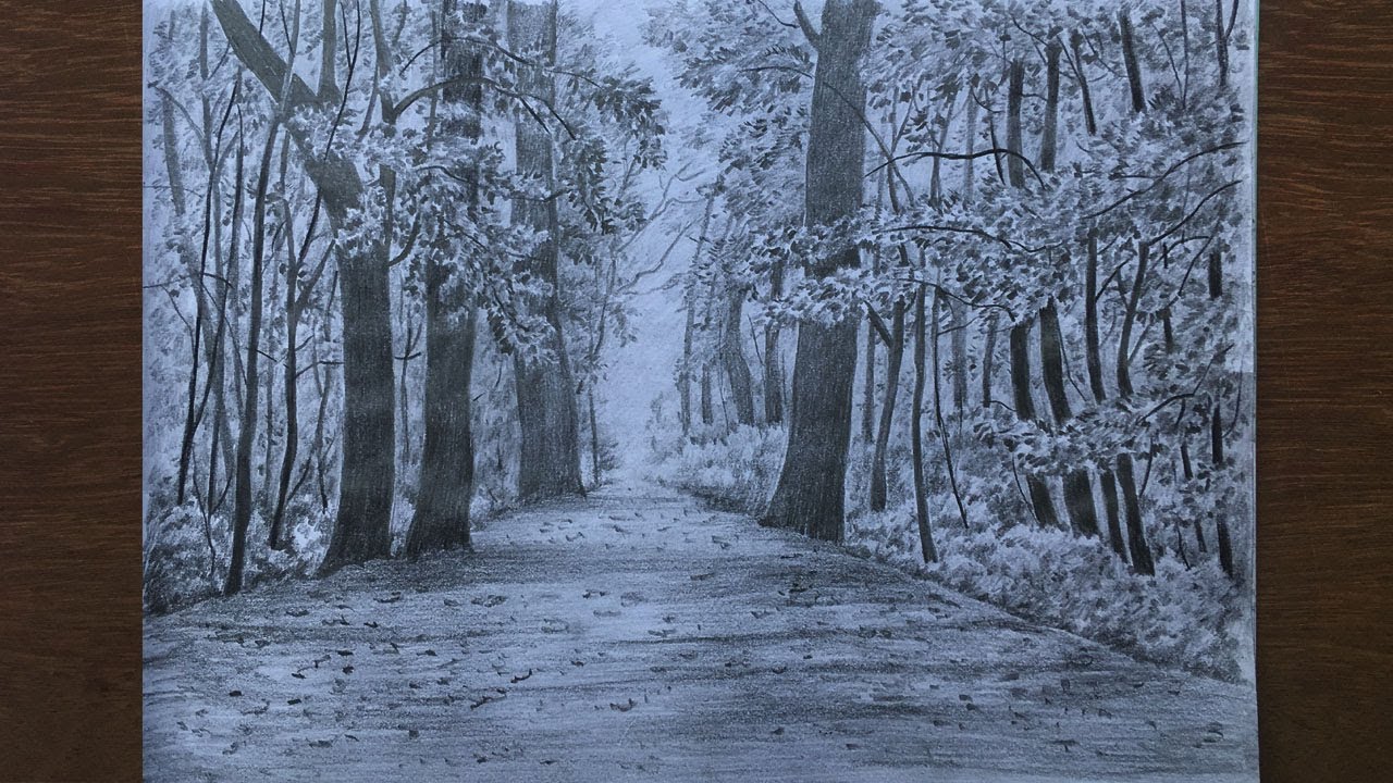 Pencil Forest Landscape Drawing
