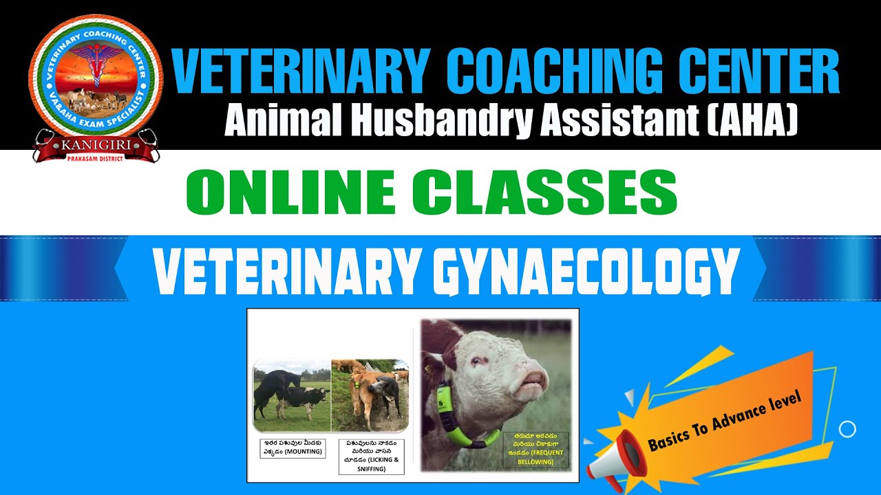 Veterinary Gynaecology Veterinay Coaching Center Kanigir Youtube