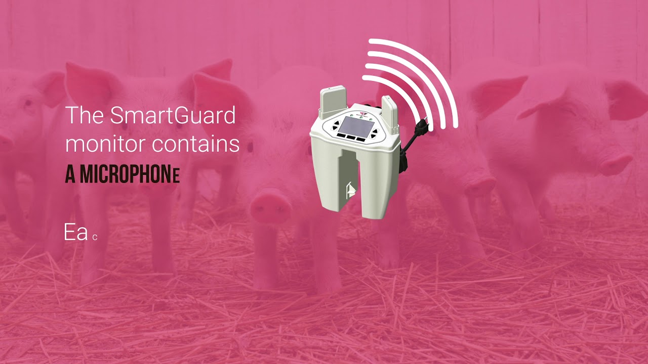 Smartguard By Swinetech Youtube