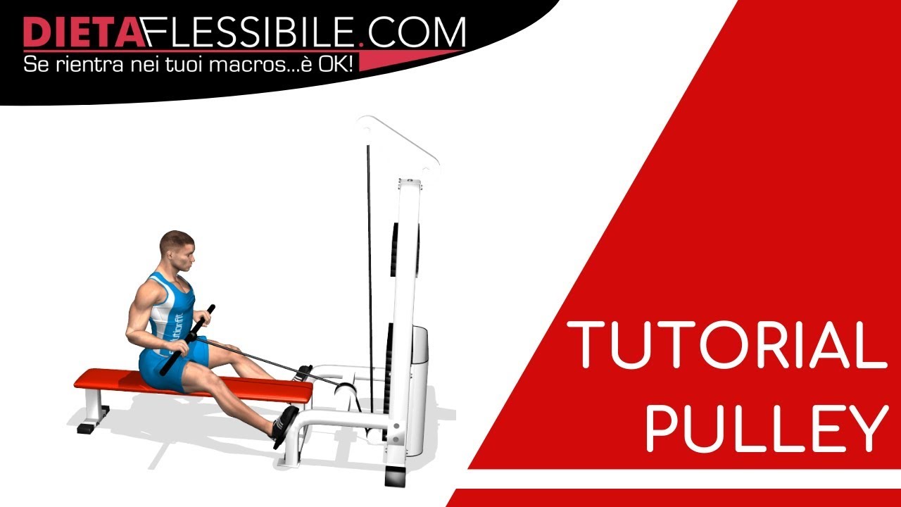 Tutorial Pulley Youtube