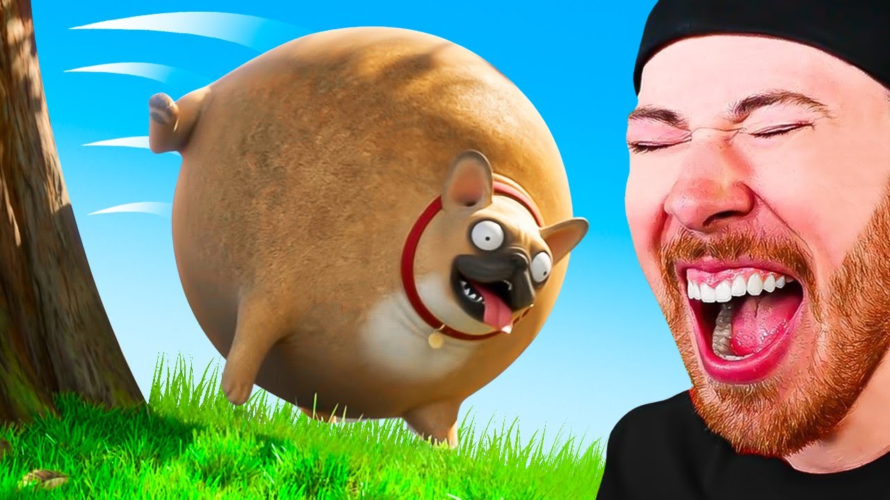 Funny Animations Of Animals