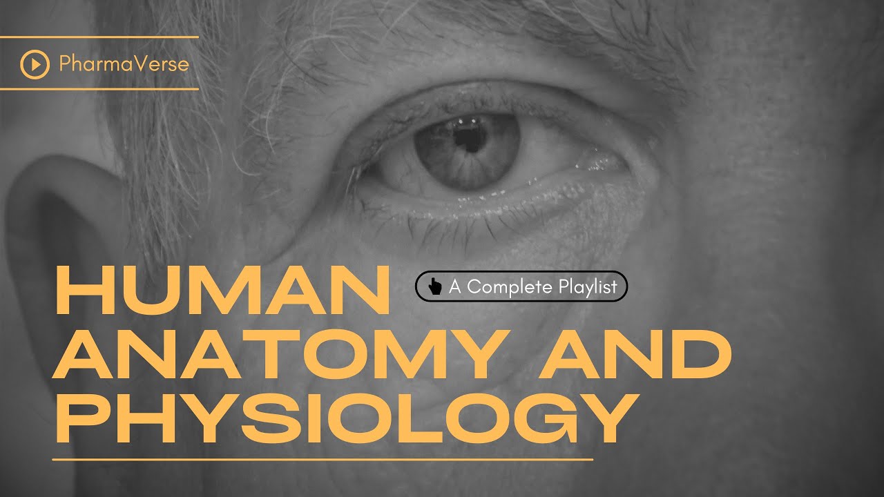 Human Anatomy Physiology A Complete Playlist Youtube