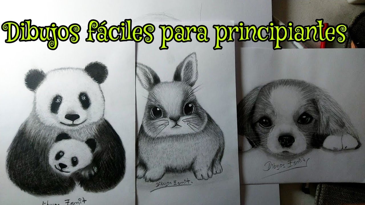 Como Dibujar Dibujos Fáciles Para Principiantes Youtube