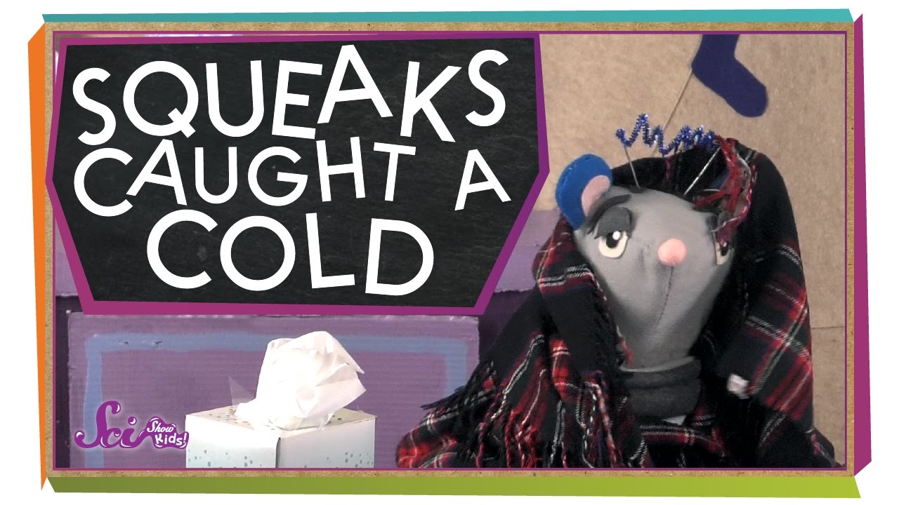 Why Do We Get Sick Youtube