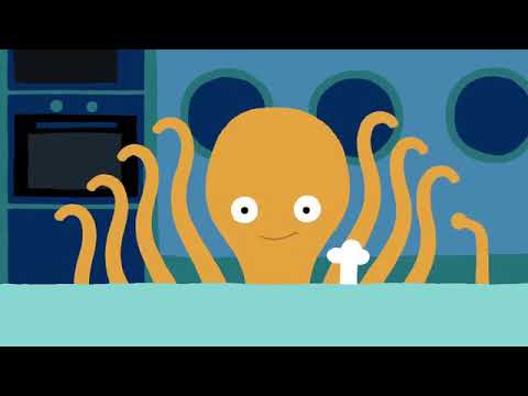 Octopus Animanimals Youtube