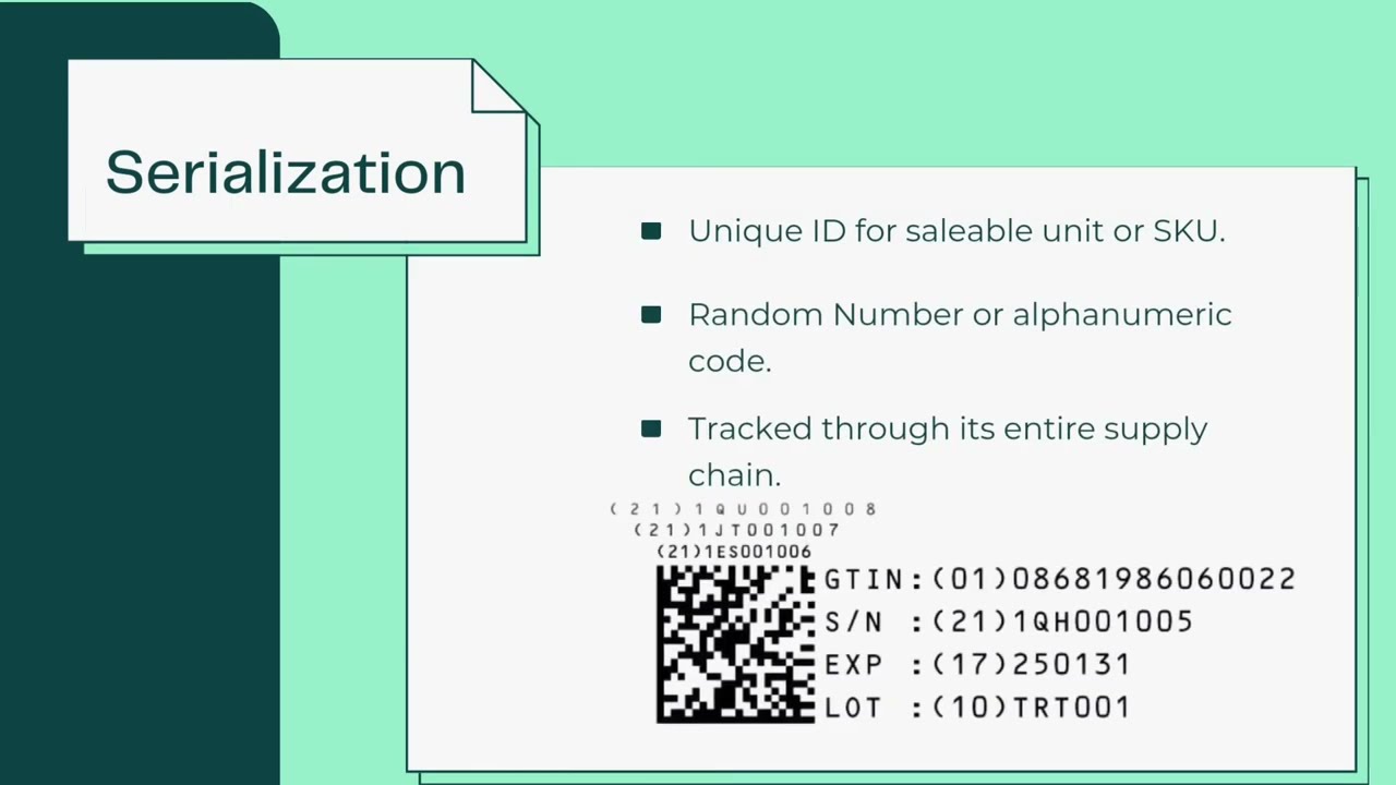What Is A Serialization Introduction About Serialization Track And