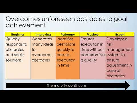 Mini Lesson Execution Excellence Managerial Competency Overview