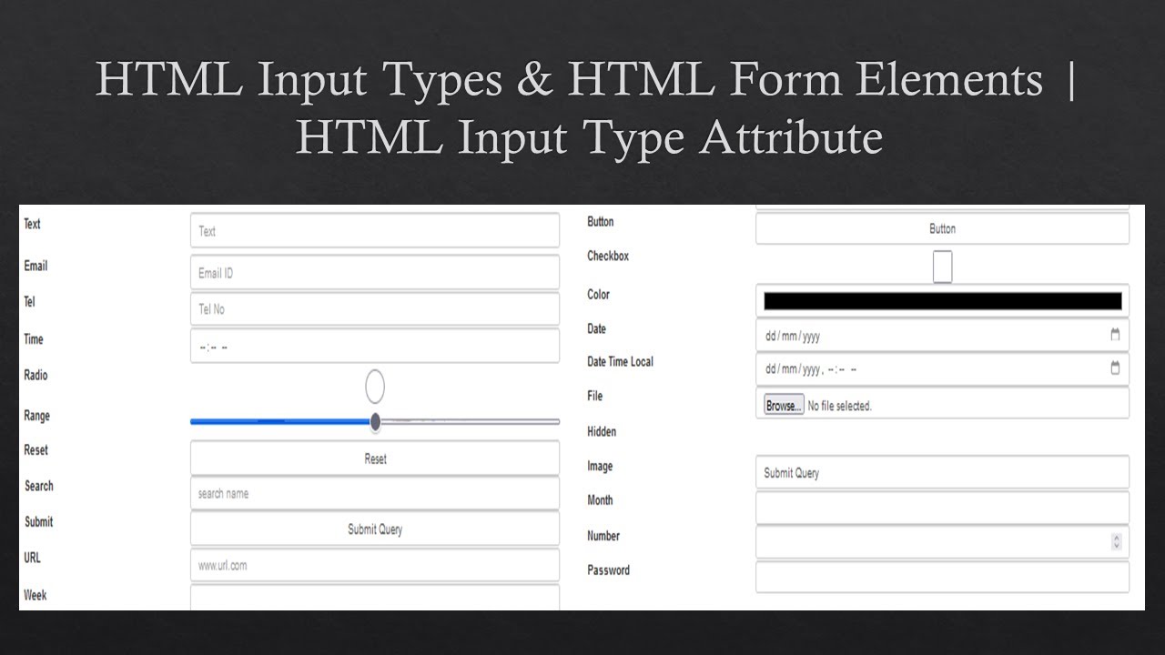 Html Input Types Html Form Elements Html Input Type Attribute