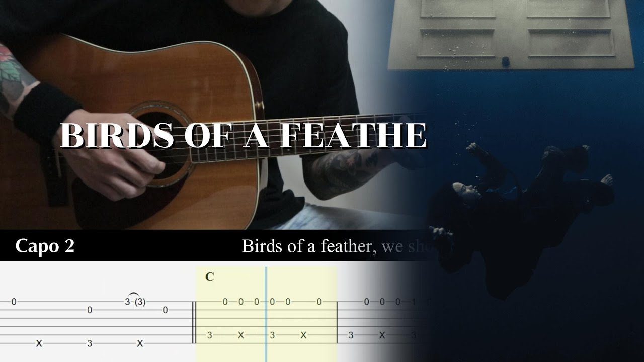 Birds Of A Feather Billie Eilish Fingerstyle Guitar Tab Chords
