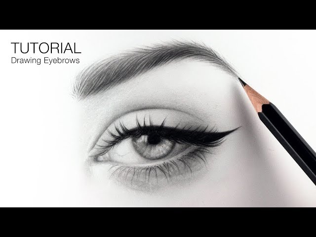 How To Draw Eyebrows Art Tutorial