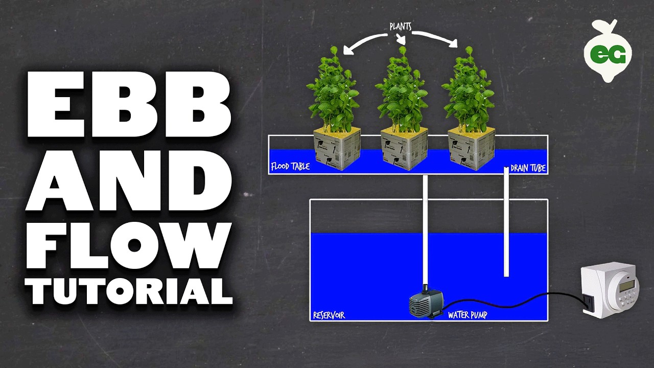 Ebb And Flow Hydroponics