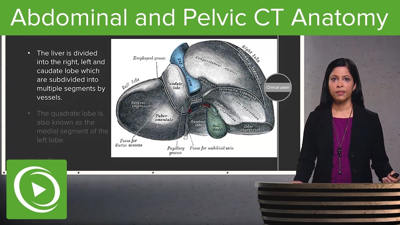 Normal Abdominal Pelvic Ct Anatomy Algorithm Radiology Lecturio