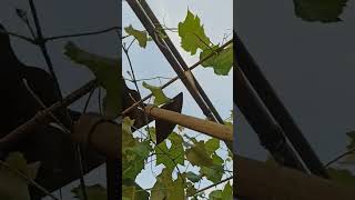 Indrept Vita De Vie Marin Popa Mp3 Music & Mp4 video downloads