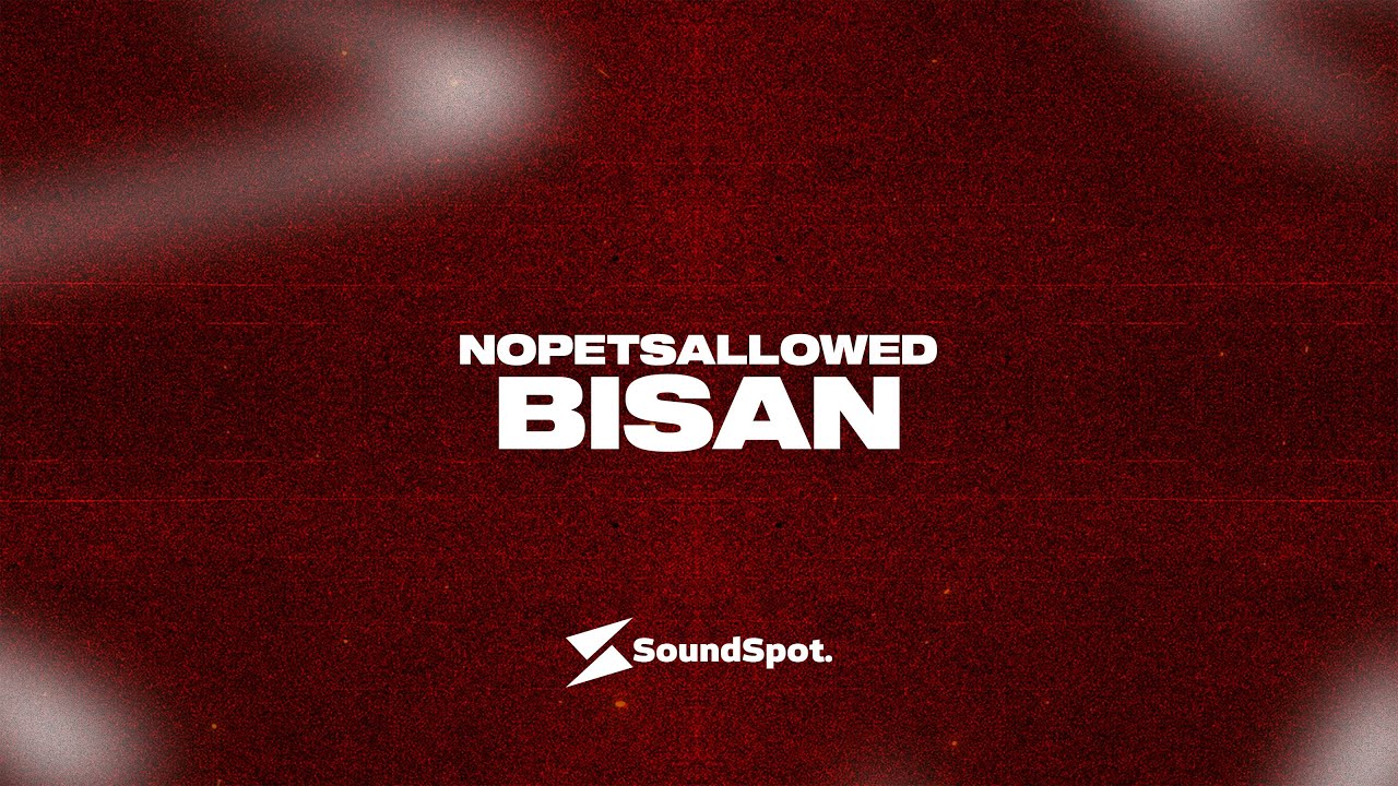 Nopetsallowed Bisan Lyric Video Youtube