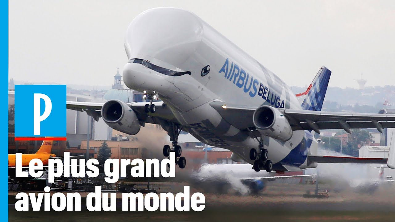 Beluga Xl Comment Airbus Fabrique Le Plus Grand Avion Du Monde Youtube