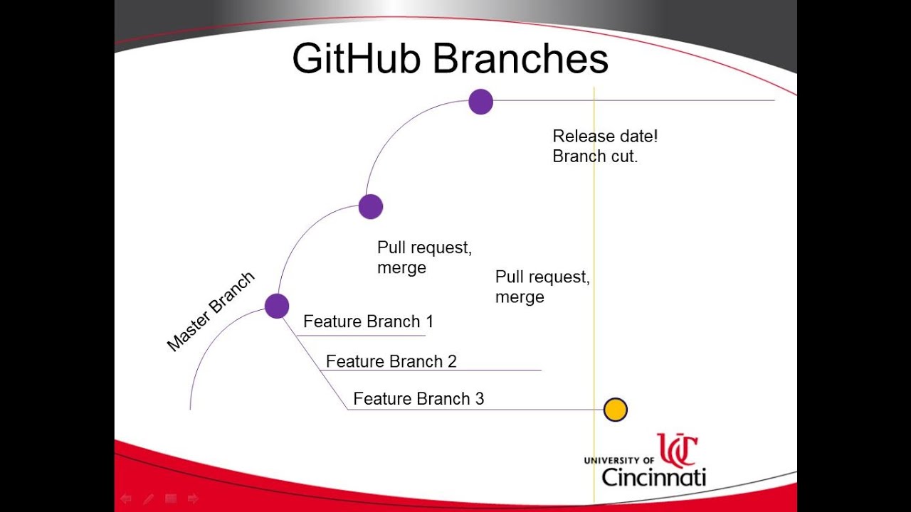 Branches Explained Git At Betty Coleman Blog