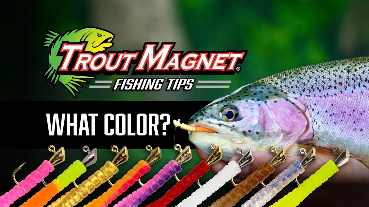 Which Trout Magnet Color Is Best Youtube