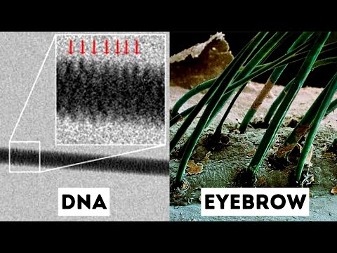 Unique Objects Under Electron Microscope Youtube