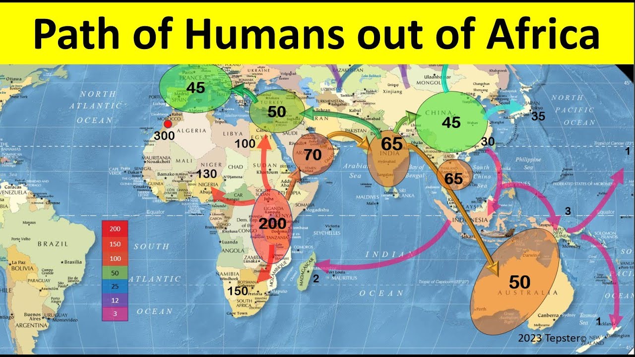 Early Human Migration Patterns