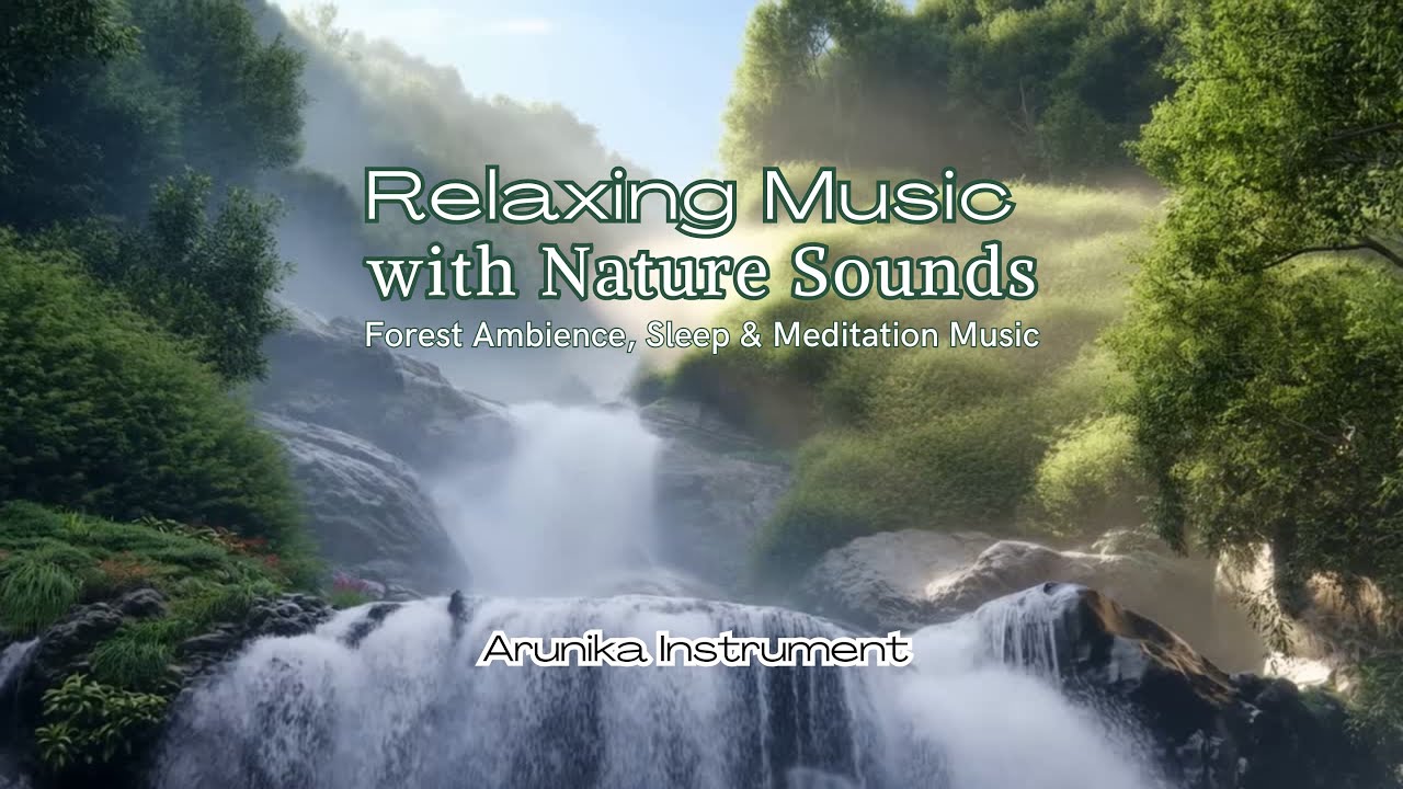 Relaxing Music With Nature Sounds Forest Ambience Sleep Meditation