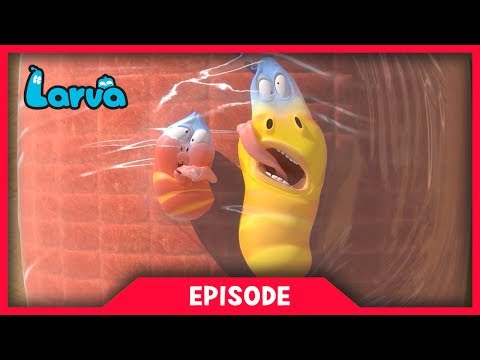 Larva New Friend Full Series Cartoons For Children Larva Cartoon