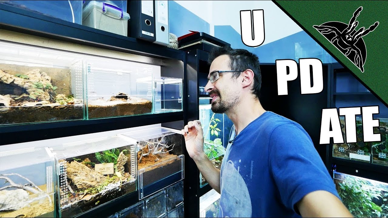 They Are All Dead Youtube