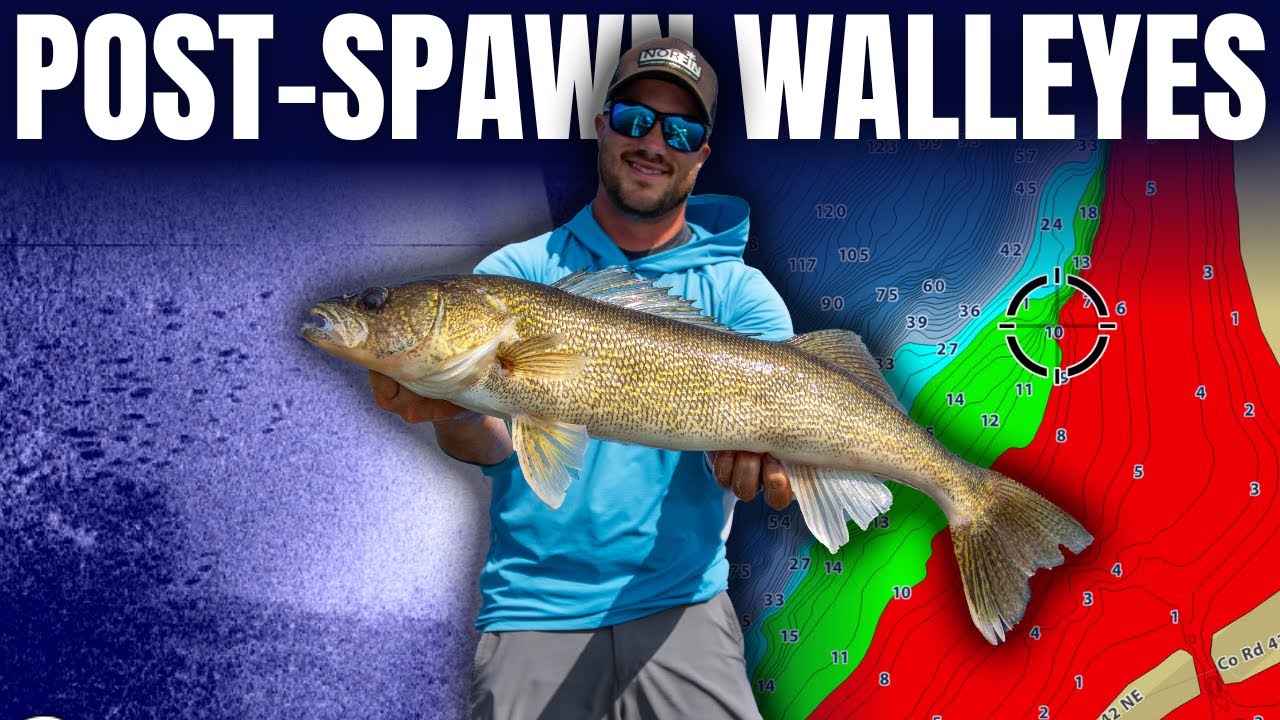 Post Spawn Walleye Location For Any Lake Youtube