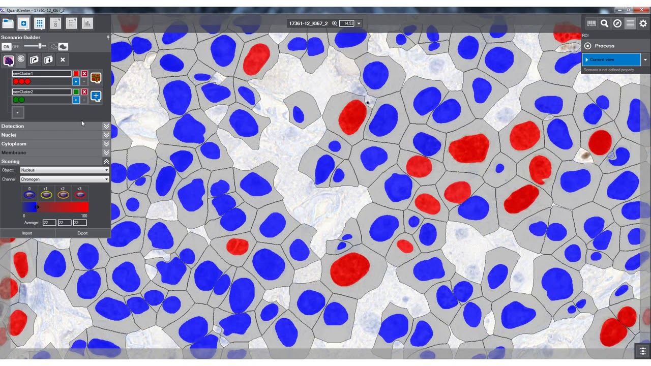 Cellquant 3dhistech Youtube