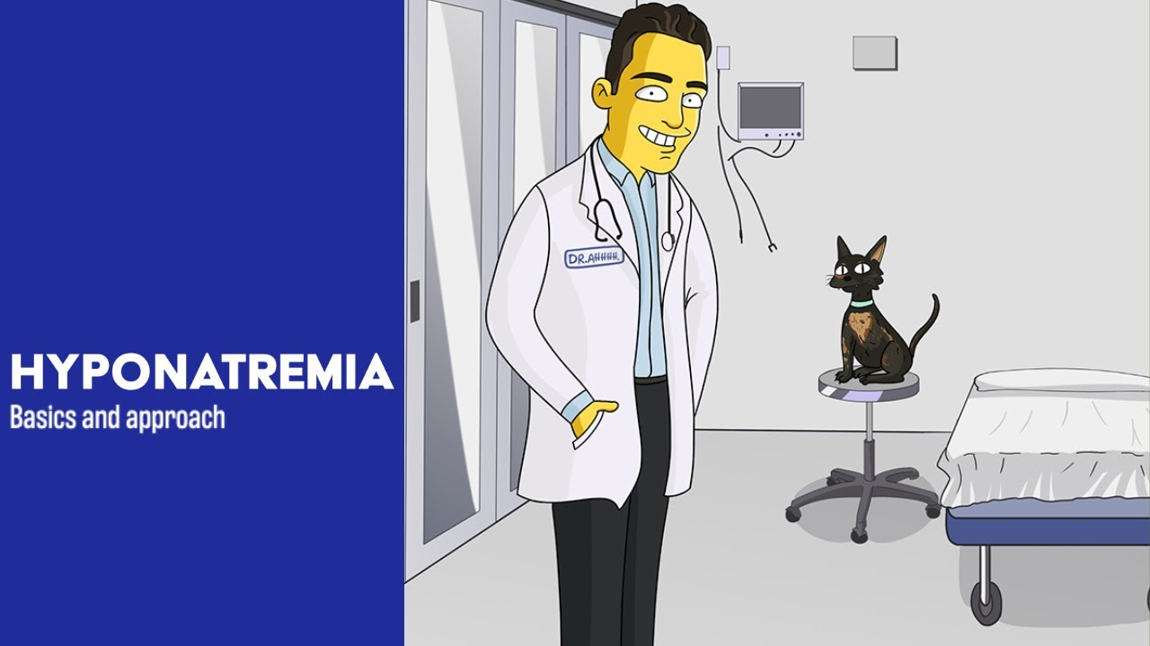 Hyponatremia Youtube