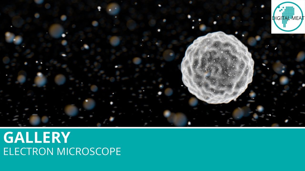Electron Microscope Youtube