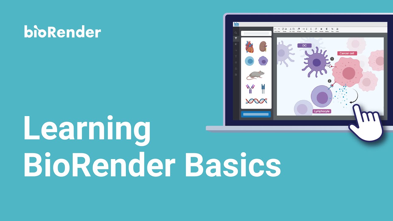 Biorender 101 Webinar Youtube