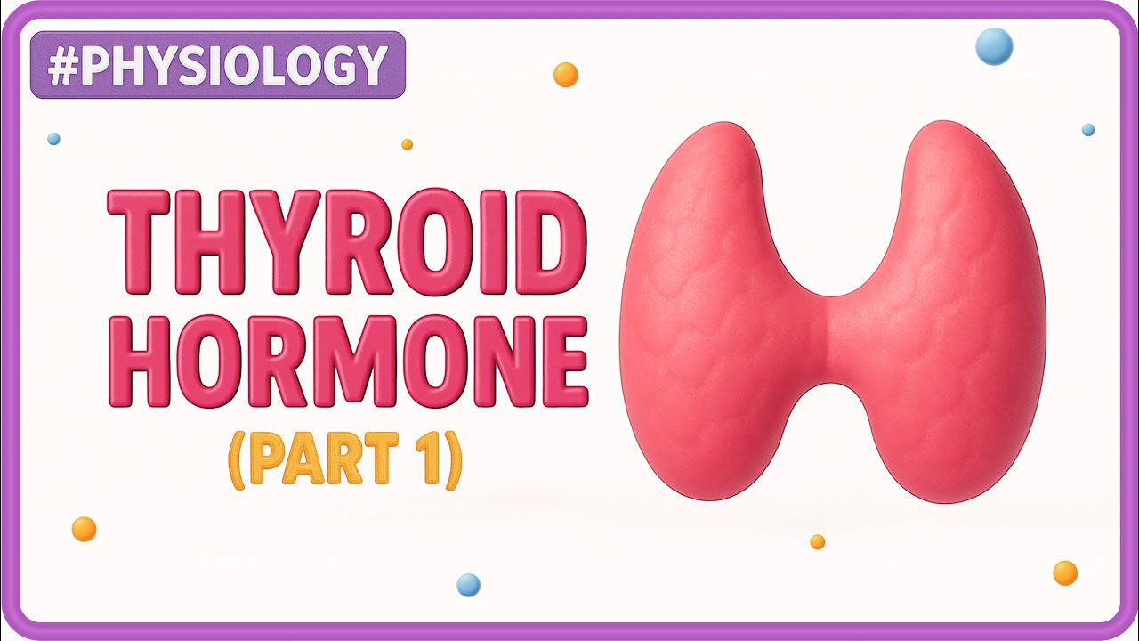 5 Thyroid Hormones Physiology Part 1 Usmle Step 1 High Yield