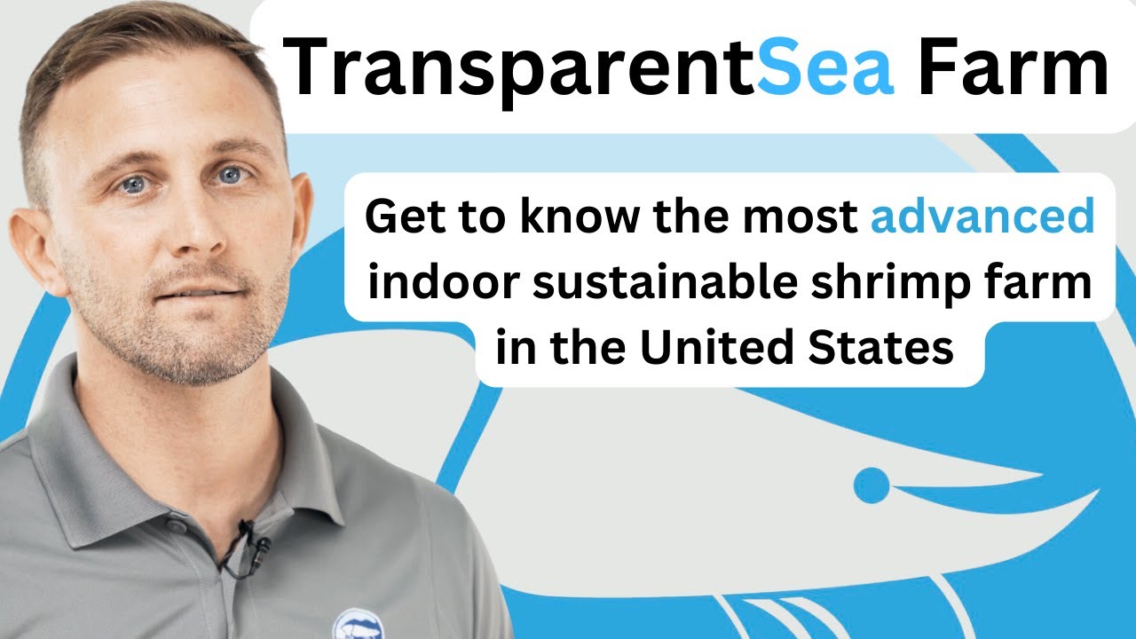 A Look Inside Transparentsea The Most Advanced Indoor Sustainable