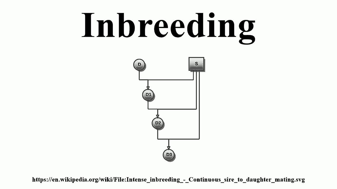 Inbreeding Meaning