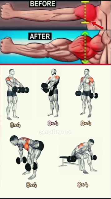 Dumbbell Only Bicep Workout рџ єрџџѕ Shorts Short Youtubeshorts Trending