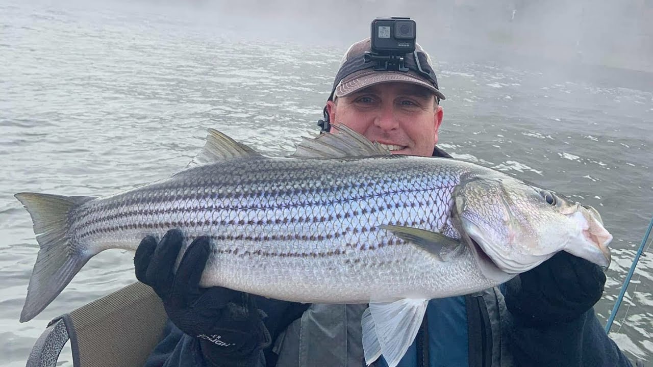 Catching Striped Bass And Trout At Wolf Creek Dam Below Lake Cumberland