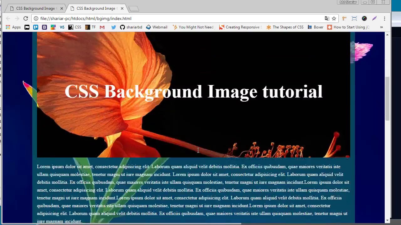 Simple Css Background Ideas Matridolfx