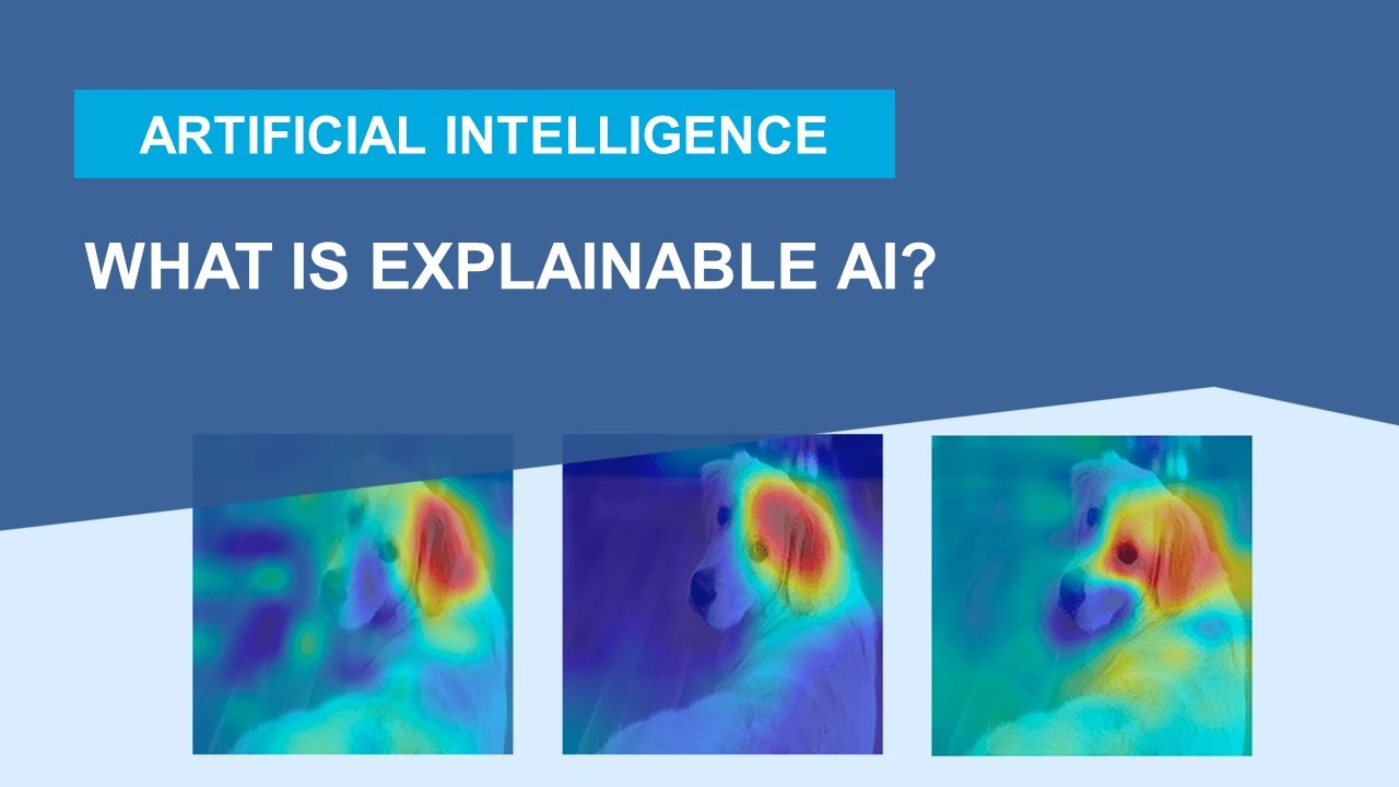 Explainable Ai Unlock Ai Decisions