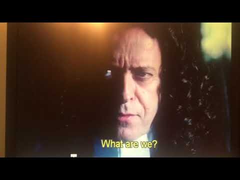 Berkeley Youtube