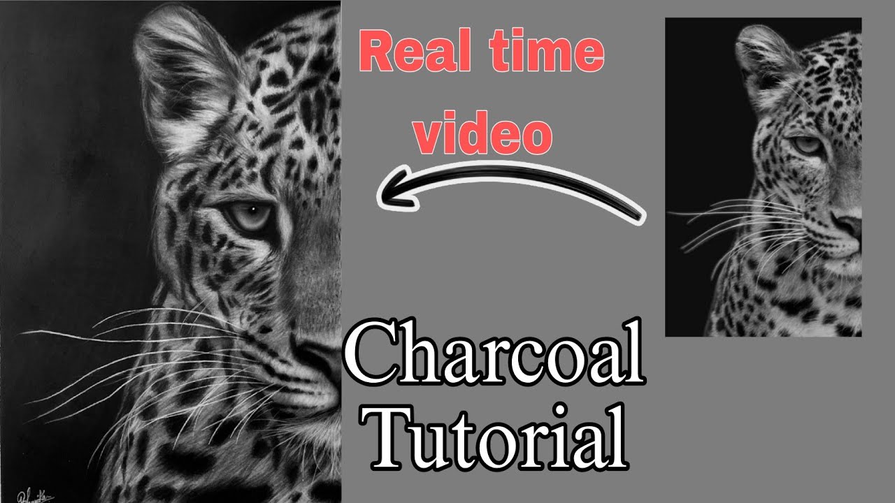 Drawing Leopard Charcoal Tutorial Real Time Video Youtube