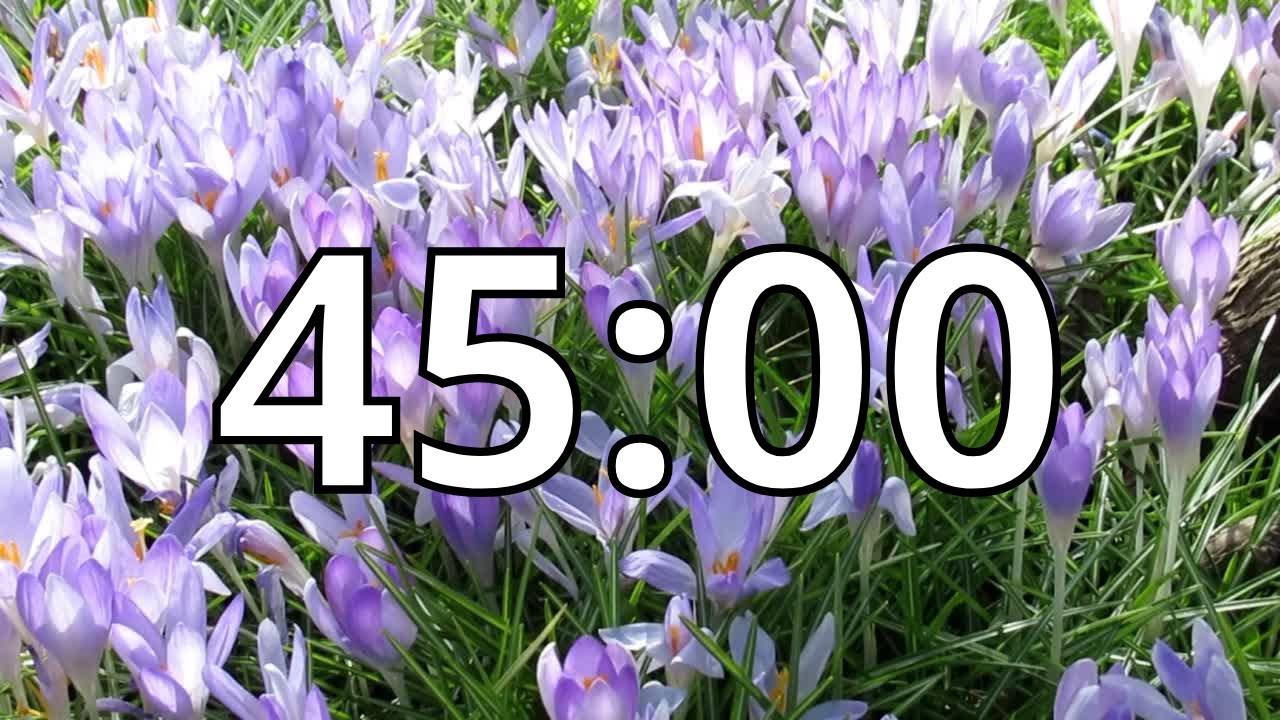45 Minutes Timer With Music Spring Timer Youtube