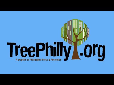 Treephilly Tree Giveaway Youtube